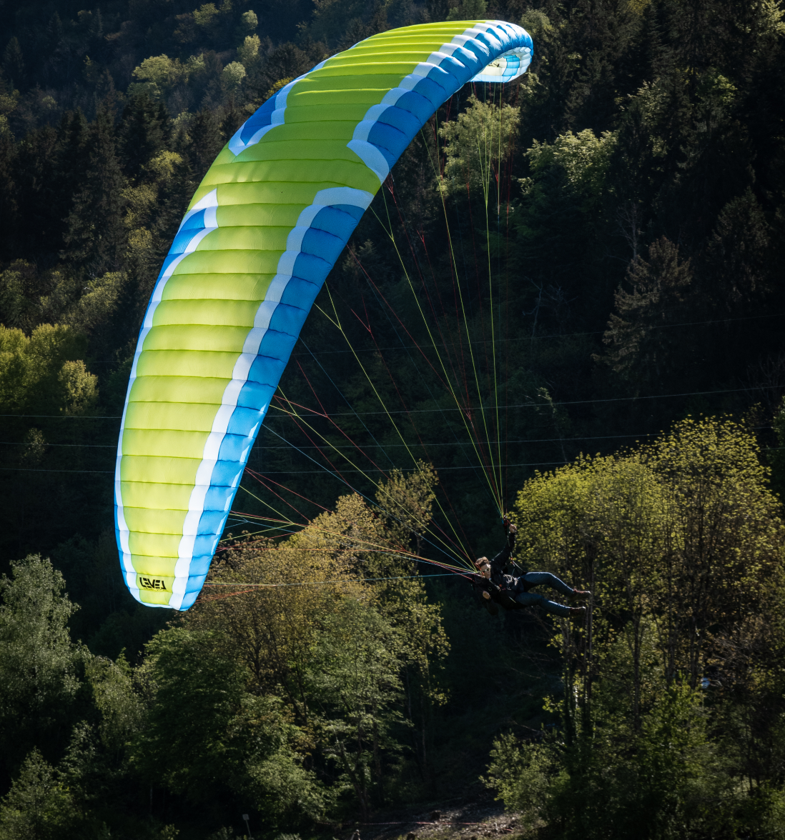 Flex 1 – Level Wings