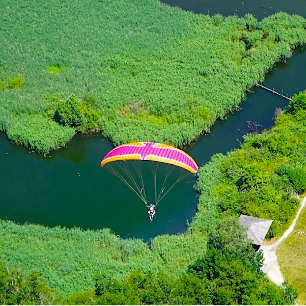 windforce-Photos-2 – Level Wings